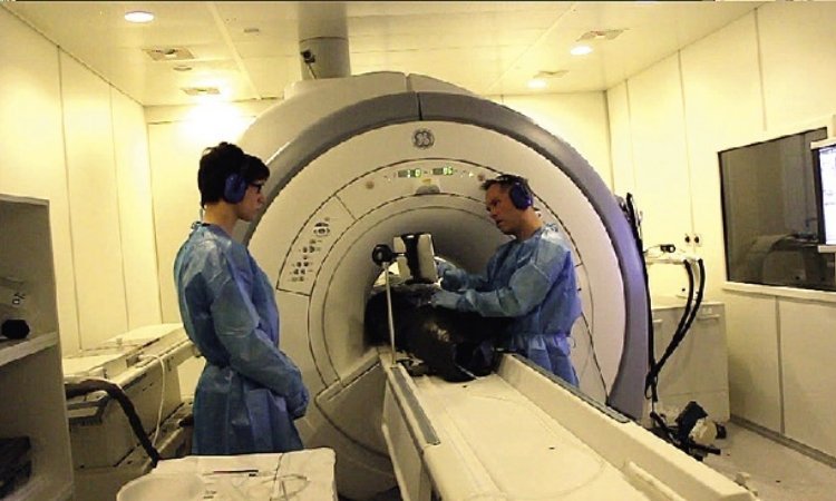 MRI goes wireless • healthcare-in-europe.com