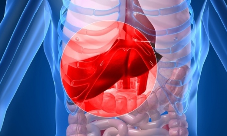LI-RADS promotes improved liver imaging techniques and reporting ...