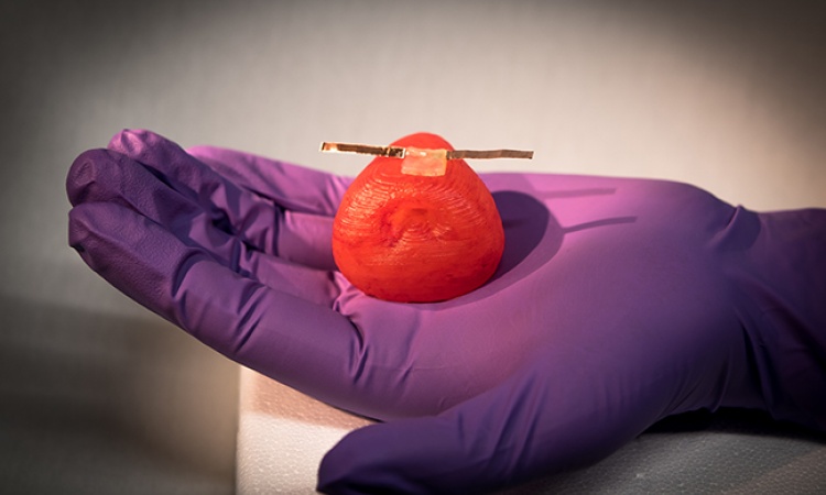 Researchers 3D print lifelike artificial organ models • healthcare-in ... Researchers 3D print lifelike artificial organ models • healthcare-in ...