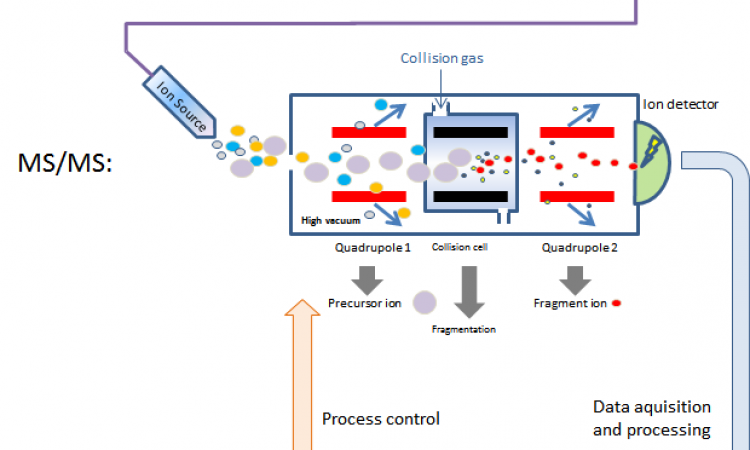 A brief history of mass spectrometry • healthcare-in-europe.com