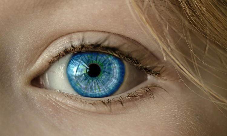 FDA approves first artificial iris • healthcare-in-europe.com