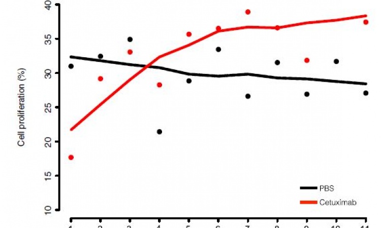 Computer algorithm maps cancer resistance to drugs • healthcare-in ...
