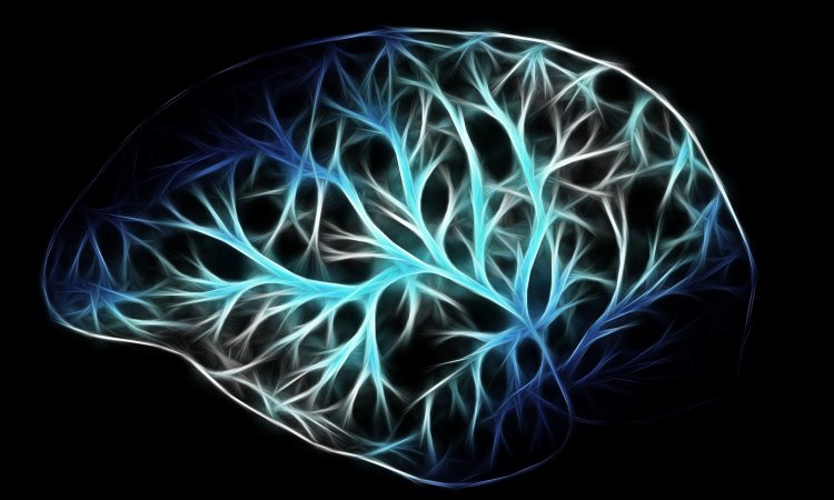 Rethinking the six-hour rule for stroke victims • healthcare-in-europe.com
