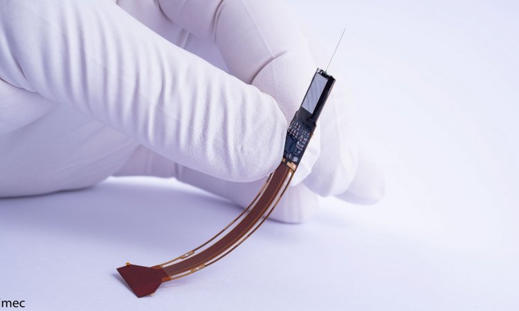 "Neuropixels" neural probe to map brain activity • healthcare-in-europe.com