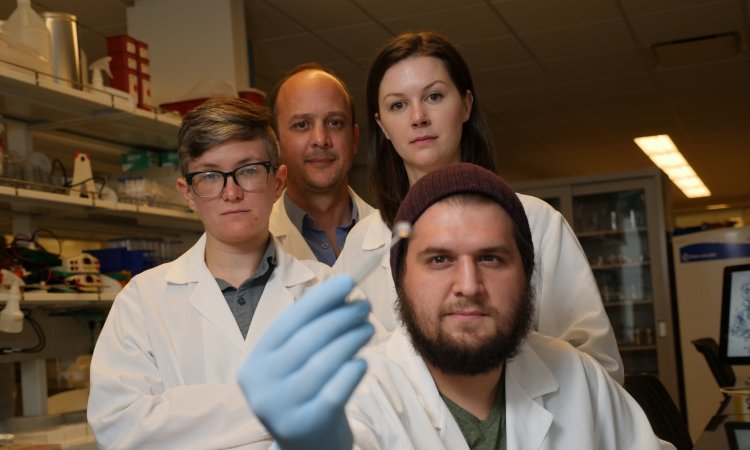 Unlocking The Secrets Of Cell Communication • Healthcare In