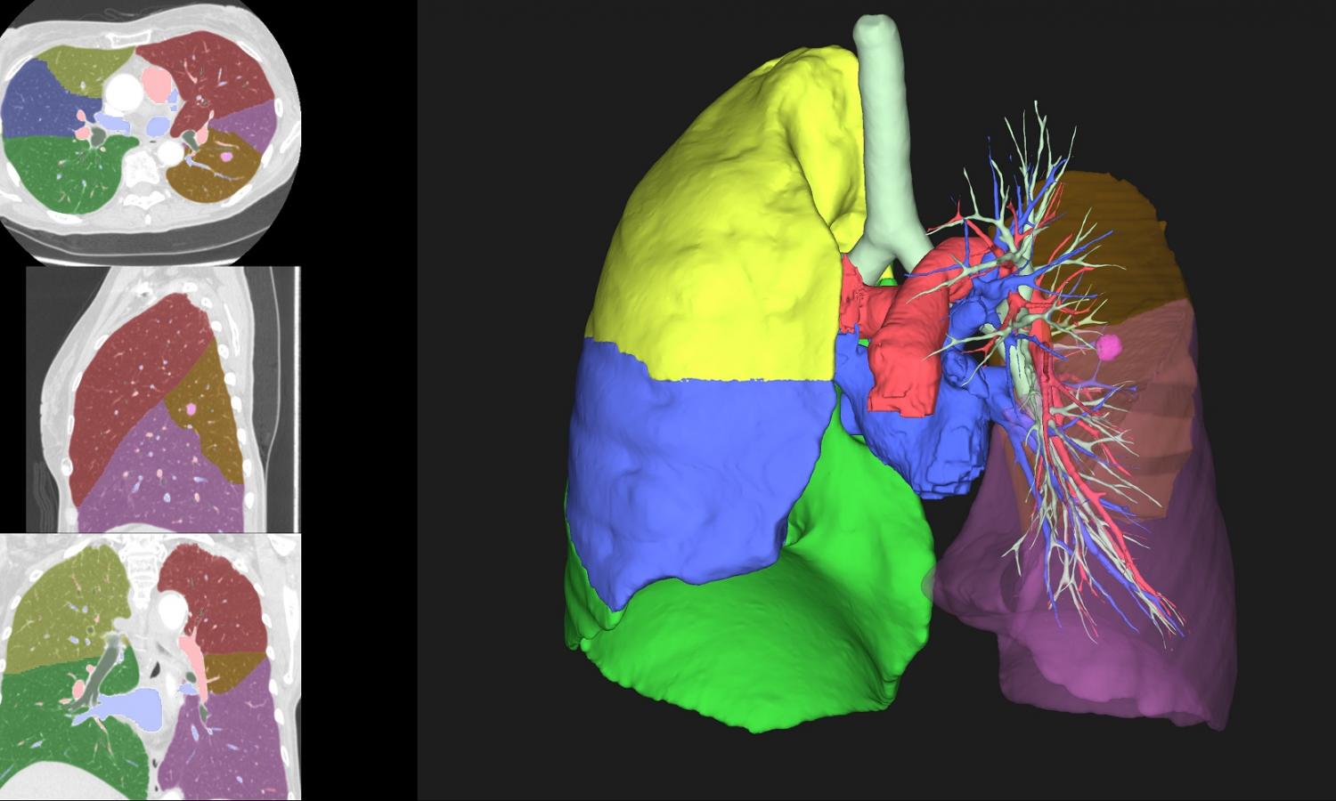 Fujifilm – Synapse VNA • healthcare-in-europe.com