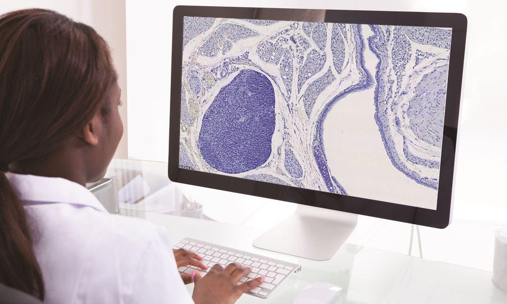 Hamamatsu introduces new WSI Scanner • healthcare-in-europe.com