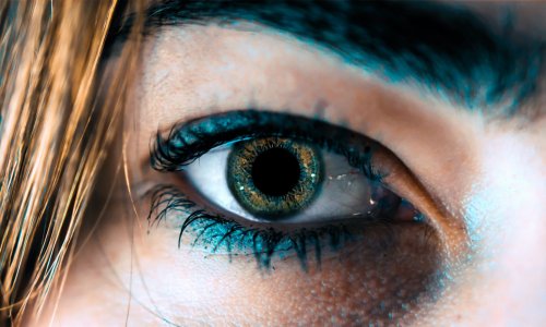 Blindness: Cortical prosthesis provides visual information • healthcare ...