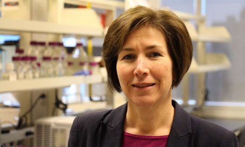 New approach could stop glioblastoma growth • healthcare-in-europe.com