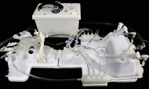 Endovascular simulator – your coach for complex interventions ...