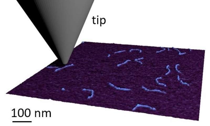 Automated plate streaking