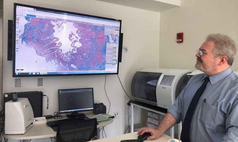 Switch to digital pathology bears fruit • healthcare-in-europe.com