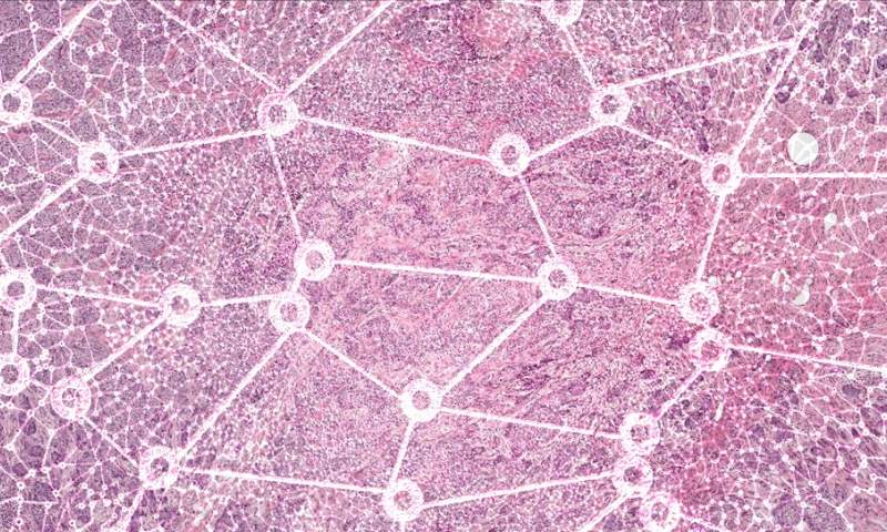 Labor/Pathologie • healthcare-in-europe.com