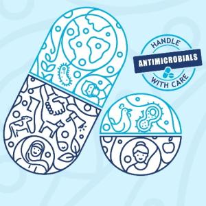How antimicrobial resistance spreads from gut bacteria to hospital ...