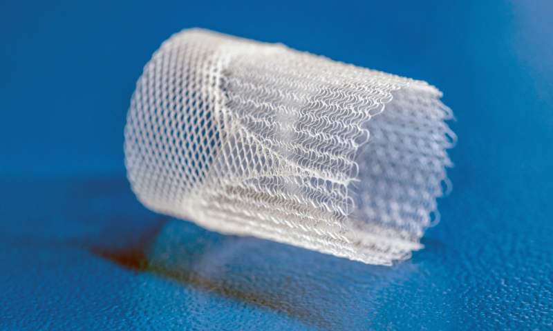 Artificial heart valves from silicone • healthcare-in-europe.com