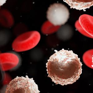 Key function of important leukemia gene demystified • healthcare-in ...