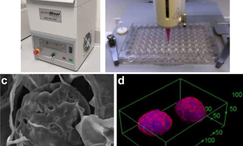 3D brain tumour in a dish to personalize cancer treatment • healthcare ...