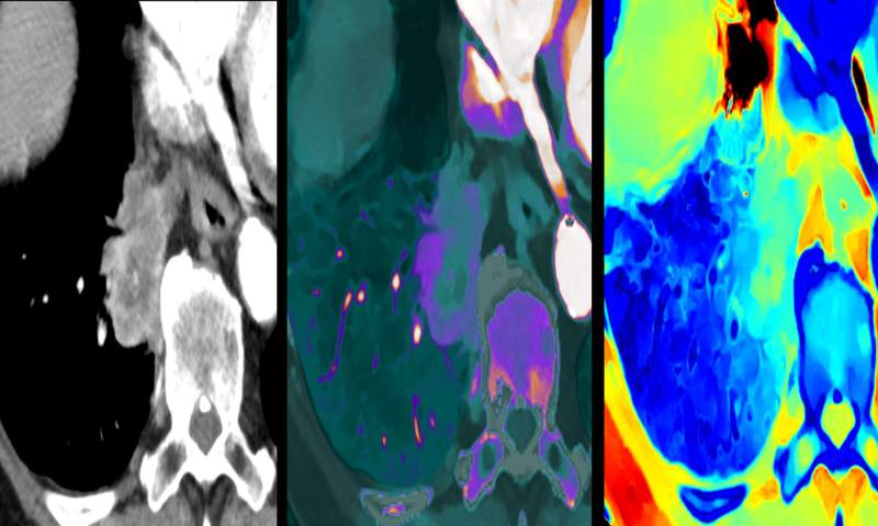 The Kitten Scanner • healthcare-in-europe.com