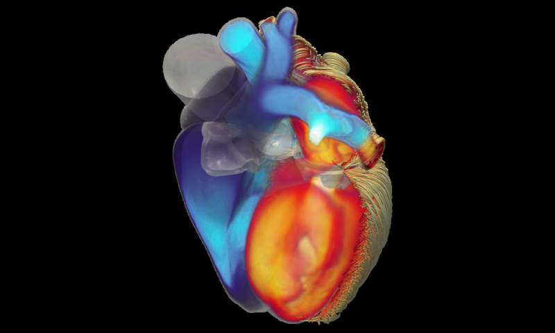 Repairing heart damage: Breakthrough in vascularized heart organoids ...