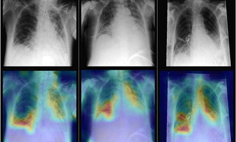Cardiology PACS • healthcare-in-europe.com