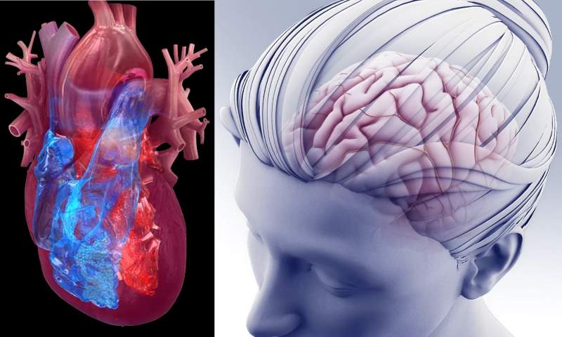 Digital Pathology • healthcare-in-europe.com