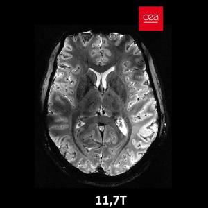 Diagnostic Imaging • healthcare-in-europe.com