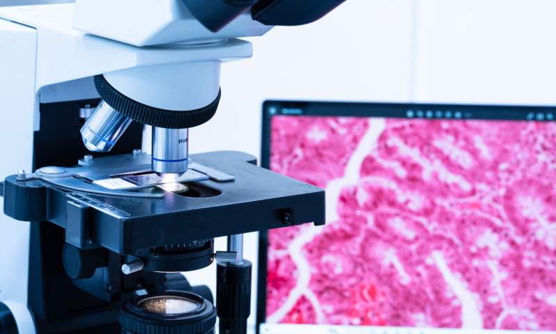 Laboratory/Pathology • healthcare-in-europe.com
