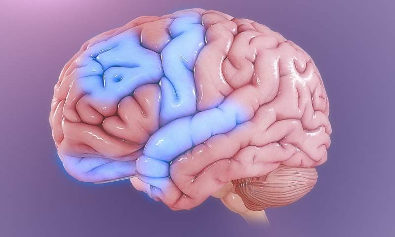 Self-administered brain stimulation as a novel tool for depression ...
