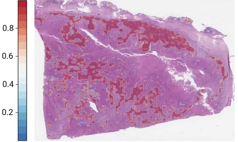 Digital Pathology • healthcare-in-europe.com