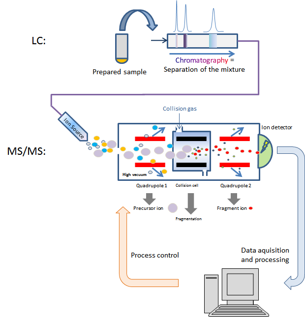 Liquid Chromatography Mass Spectrometry Liquid Chromatography Mass Spectrometry