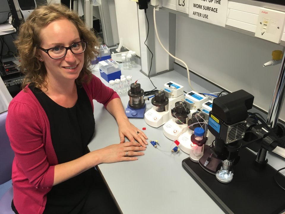 Single cell RNA-sequencing to offer miscarriage hope • healthcare-in ...