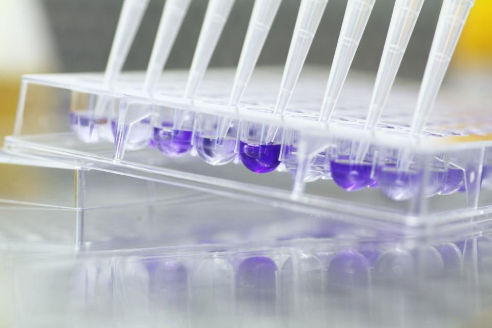 Tracking down the microbiome • healthcare-in-europe.com