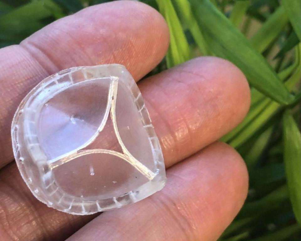 New heart valve could transform open heart surgery • healthcare-in ...