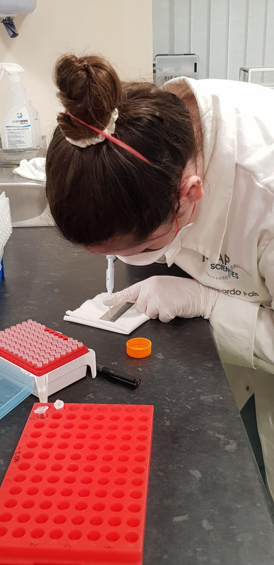 Mass spectrometry to improve Covid testing • healthcare-in-europe.com