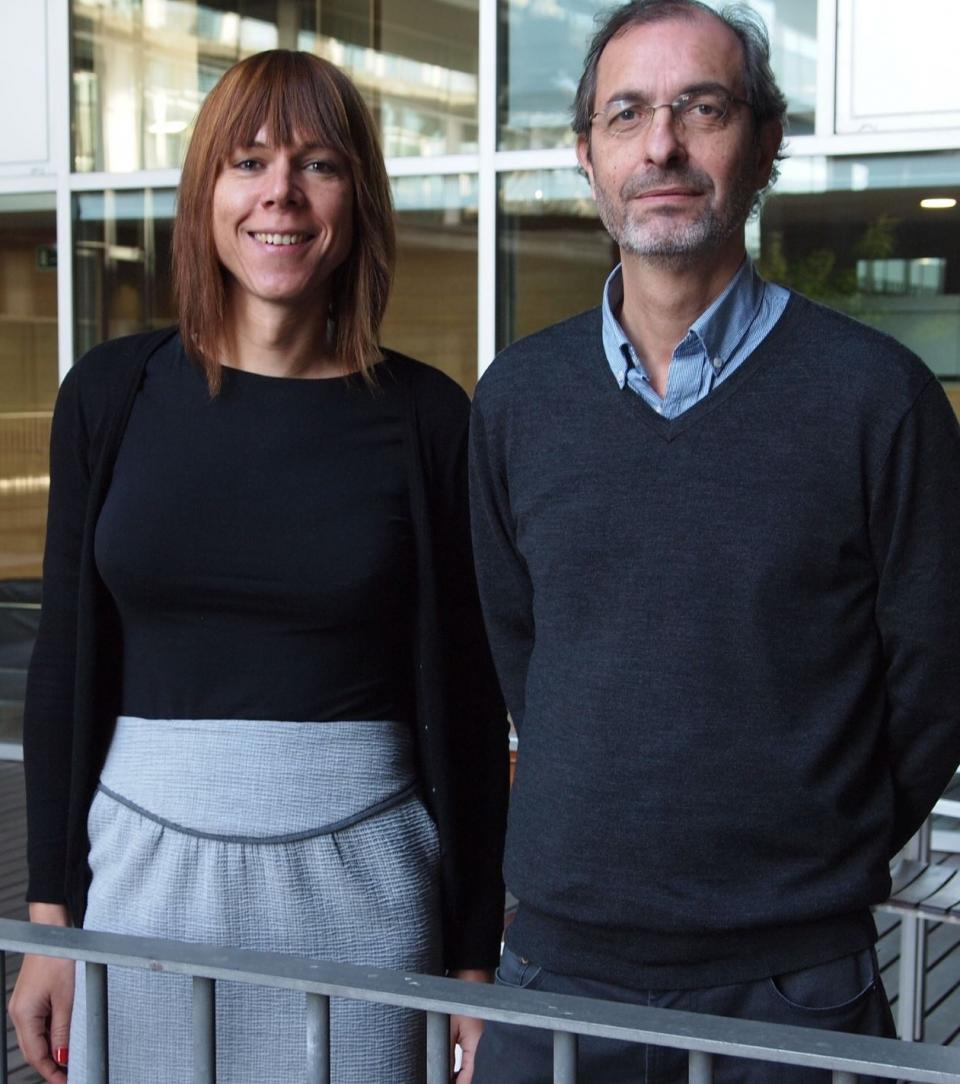 More personalised breast screening needed • healthcare-in-europe.com