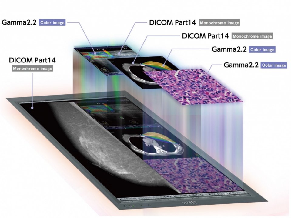 Analysing images pixel by pixel • healthcare-in-europe.com