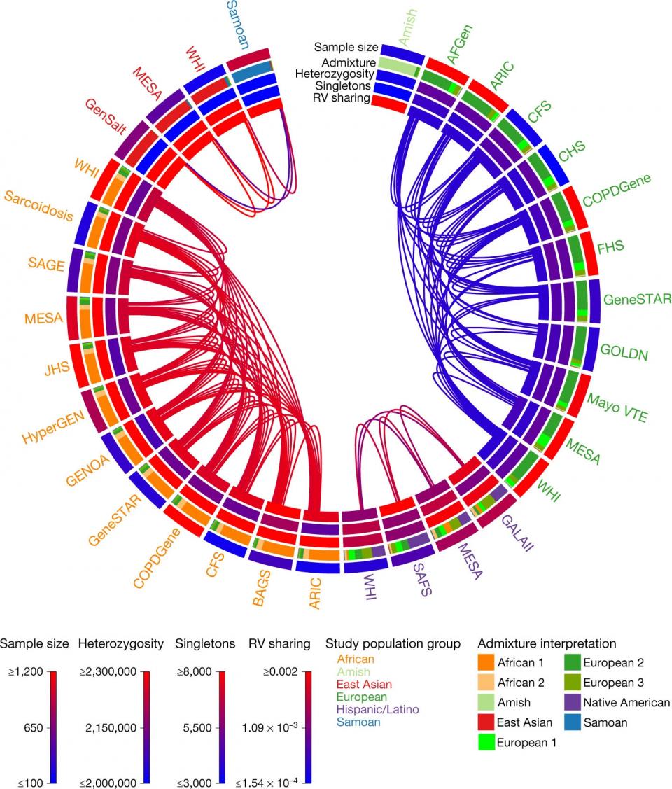 Rare diseases: huge dataset brings new insights • healthcare-in-europe.com