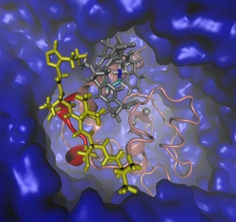 Switching off the 'survival protein' for cancer cells • healthcare-in ...