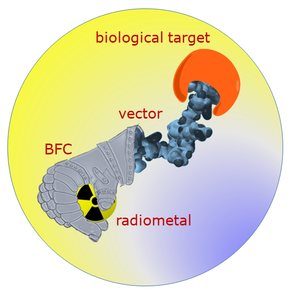 Diagnosing and treating tumors with radioactive metal complexes ...