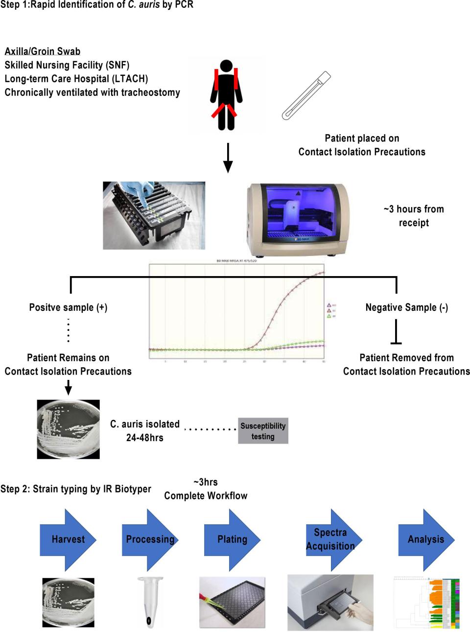 The strain typing technologies of tomorrow • healthcare-in-europe.com