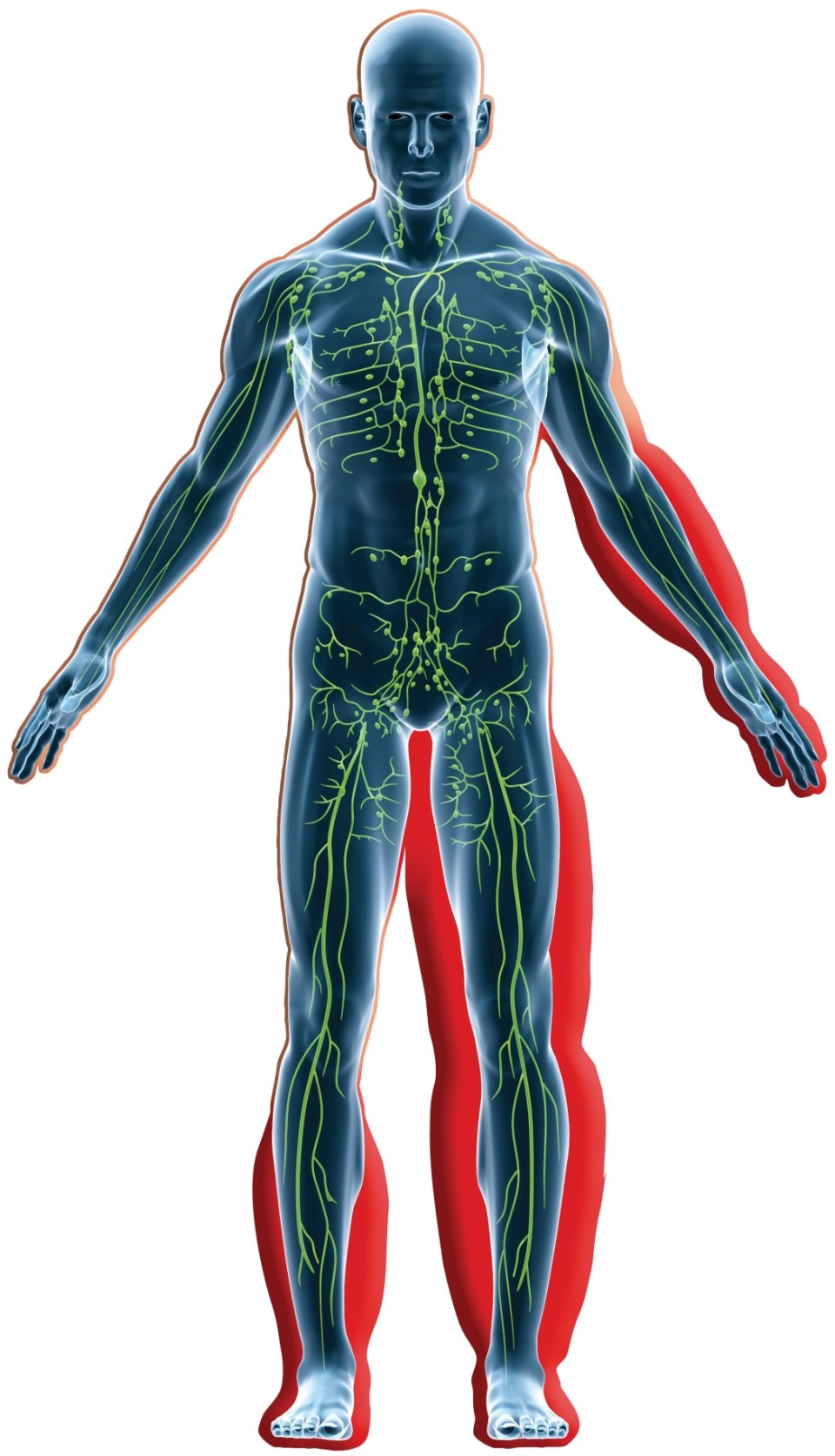 Lymphödem: Erste S2k-Leitlinie entwickelt • healthcare-in-europe.com