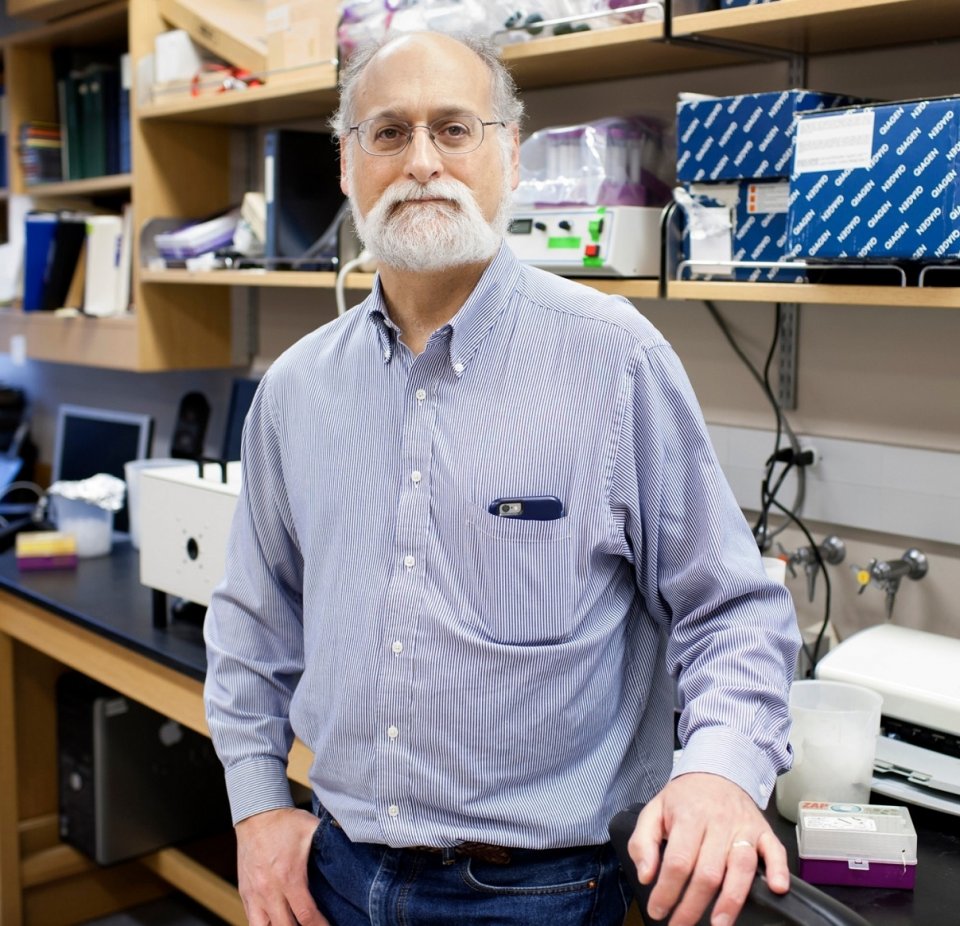 Fighting Hepatitis B with 'virus-cracking' molecules • healthcare-in ...