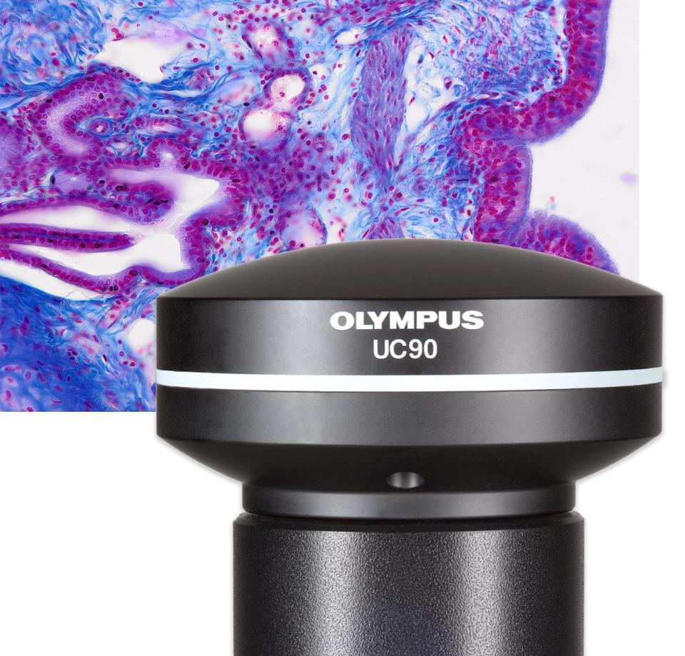 Olympus Color Cameras – Confidence in Your Images • healthcare-in ...