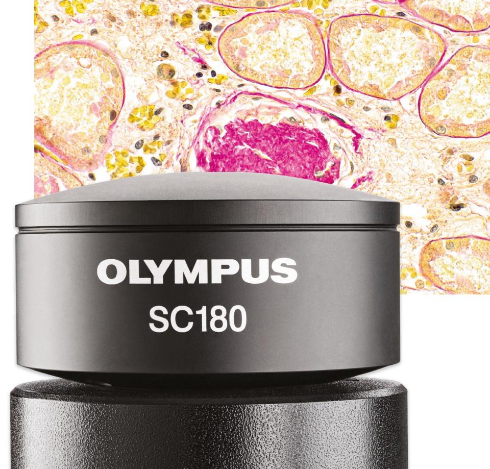 Olympus Color Cameras – Confidence in Your Images • healthcare-in ...