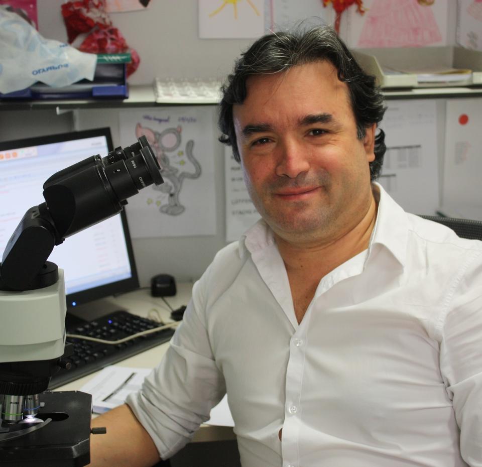 Seeking to augment the value of tumour infiltrating lymphocytes ...